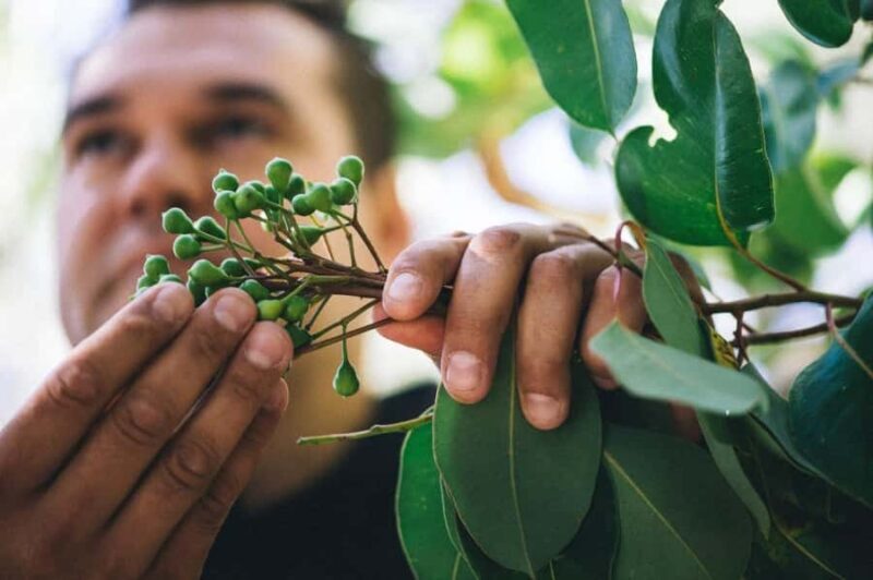 Ngilgi Cave Cultural Tour - Authenticity and Quality