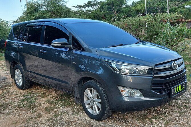 Ngurah Rai International Airport Private Arrival Transfer - The Experience in Detail