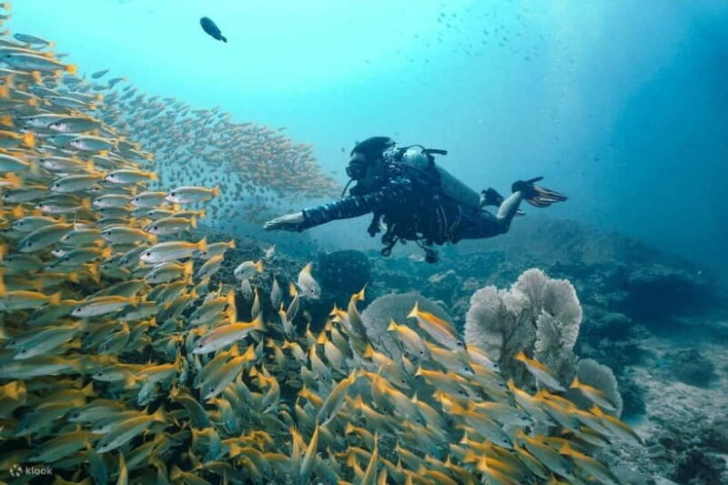 Nha Trang: 3-Day Open Water Diving Course with Lunch - Frequently Asked Questions