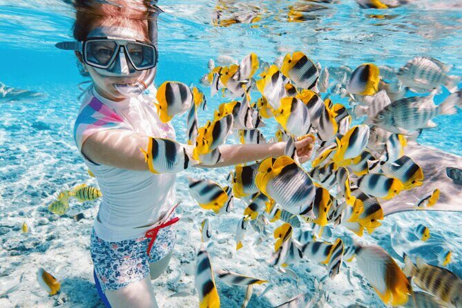 Nha Trang 3 Island VIP Tour - An In-Depth Look at the Nha Trang 3 Island VIP Tour