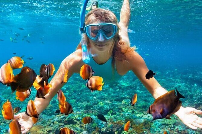 Nha Trang Bay: Explore Half-day Snorkeling at Mun Island - The Pros and Cons