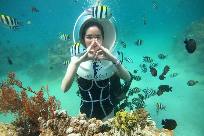 Nha Trang Bay Underwater Walk and Vietnamese Seafood Delight - Why the Value is Clear