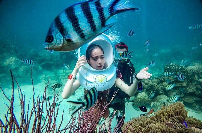 Nha Trang Bay Underwater Walk and Vietnamese Seafood Delight - The Experience Through Travelers’ Eyes