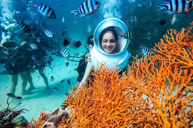 Nha Trang Bay Underwater Walk and Vietnamese Seafood Delight - The Sum Up: Who Will Love This Experience?