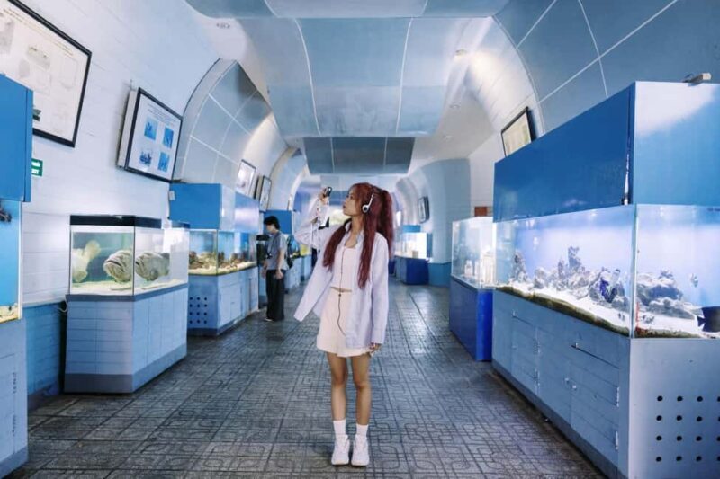 Nha Trang: City Highlights Tour with Local Guide - What Makes This Tour Stand Out