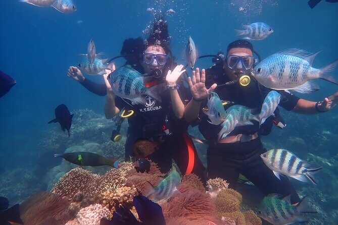 Nha Trang Coral Reefs Scuba Diving Experience with Lunch - Key Points