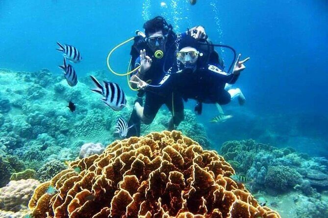 Nha Trang Coral Reefs Scuba Diving Experience with Lunch - FAQ