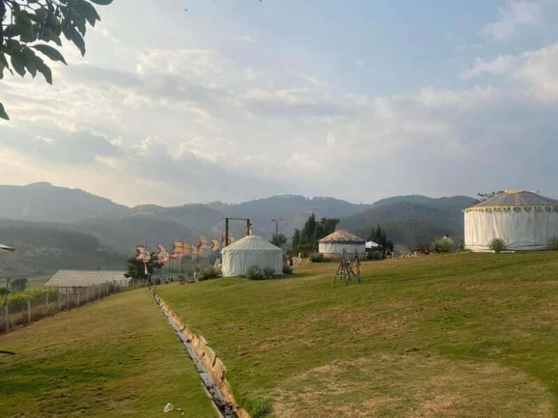 Nha Trang-Da Lat Day Trip: Explore Mongo & Donki Land - What Travelers Say: Real Perspectives