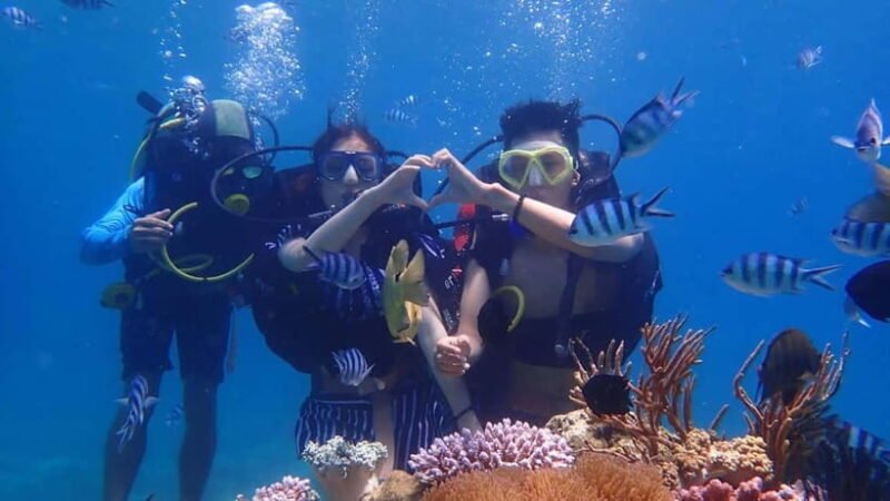 Nha Trang: Discover Scuba Diving for Non-Certified Divers - Key Points