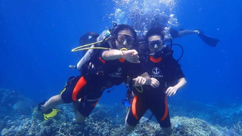 Nha Trang: Discover Scuba Diving for Non-Certified Divers - Introduction: Why this tour is a smart choice for first-timers