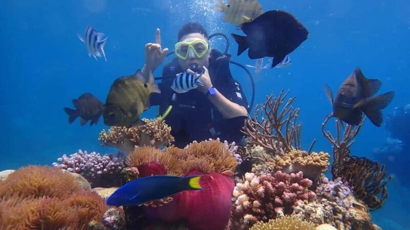 Nha Trang: Discover Scuba Diving for Non-Certified Divers - Diving and snorkeling: What you will experience