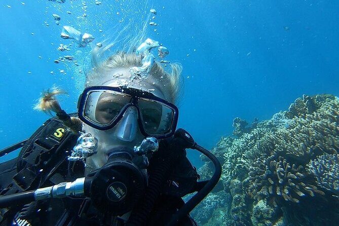 Nha Trang Diving at Mun Island full day tour - The Itinerary Breakdown