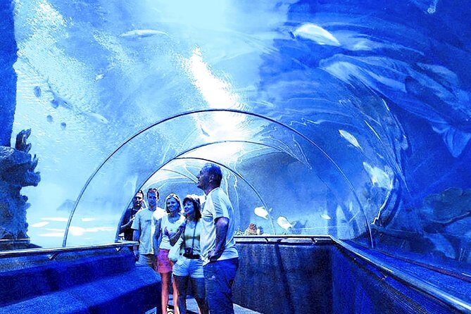 Nha Trang : Enjoy Your Best Of Nha Trang City & Relax In Spa - Deep Dive into Each Stop