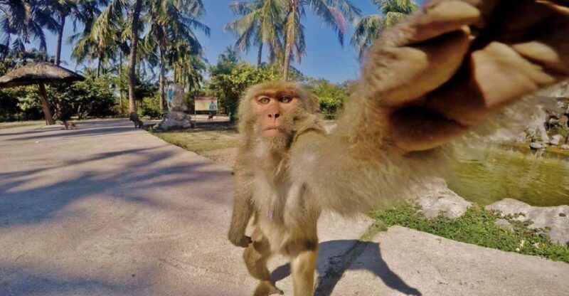 Nha Trang: Entry Ticket to Monkey Island - What is Monkey Island in Nha Trang?