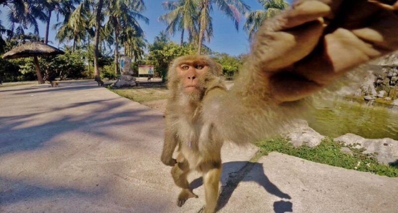 Nha Trang: Entry Ticket to Monkey Island - FAQs