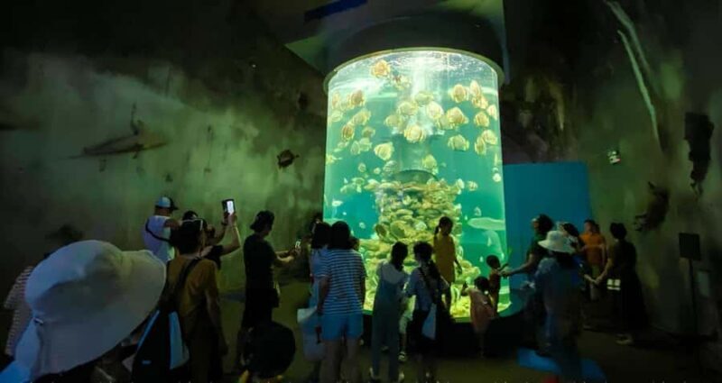 Nha Trang Half-Day City Tour with Lunch - Value and Cost