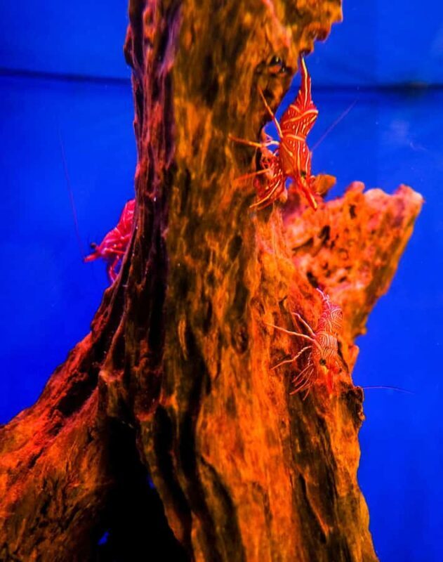 Nha Trang Half-Day City Tour with Lunch - Who Will Love This Tour?