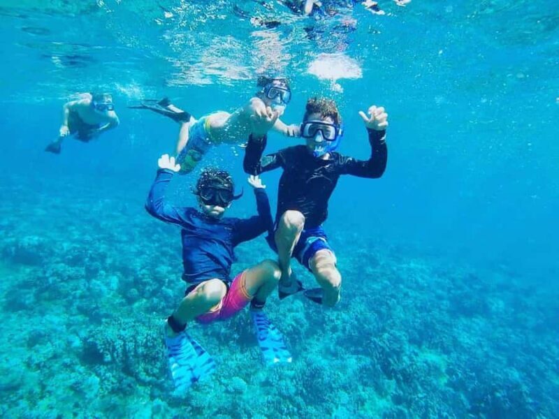 Nha Trang: Half-Day Snorkeling Adventure with BBQ lunch - Snorkeling & Marine Life: What Youll See