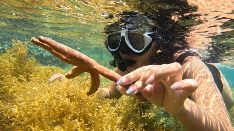 Nha Trang: Half-Day Snorkeling Adventure with BBQ Onboard - Key Points