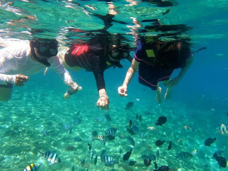 Nha Trang Half Day Snorkeling Trip - Review Summaries and Real Opinions