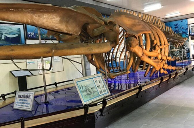 Nha Trang Half Day Tour: Best Highlights & Secret Spots - Hon Chong Rock: Coastal Beauty with a Story