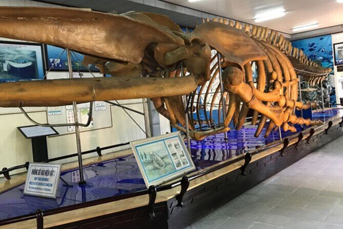 Nha Trang Half Day Tour: Best Highlights & Secret Spots - Nha Trang Cathedral: Architectural Beauty on a Hill