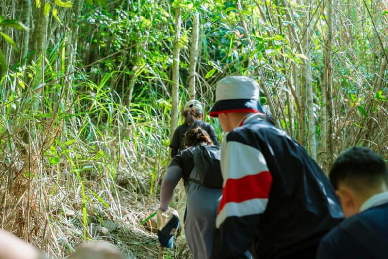 Nha Trang: Hon En Peak Hike & Paragliding Experience - The Sum Up