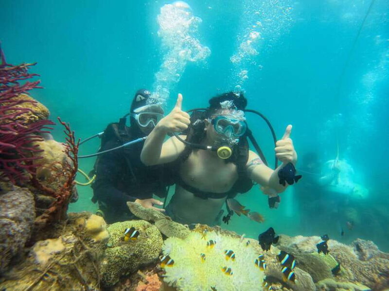 Nha Trang: Hon Mun Island Marine Park Snorkeling & Mud Bath - Key Points