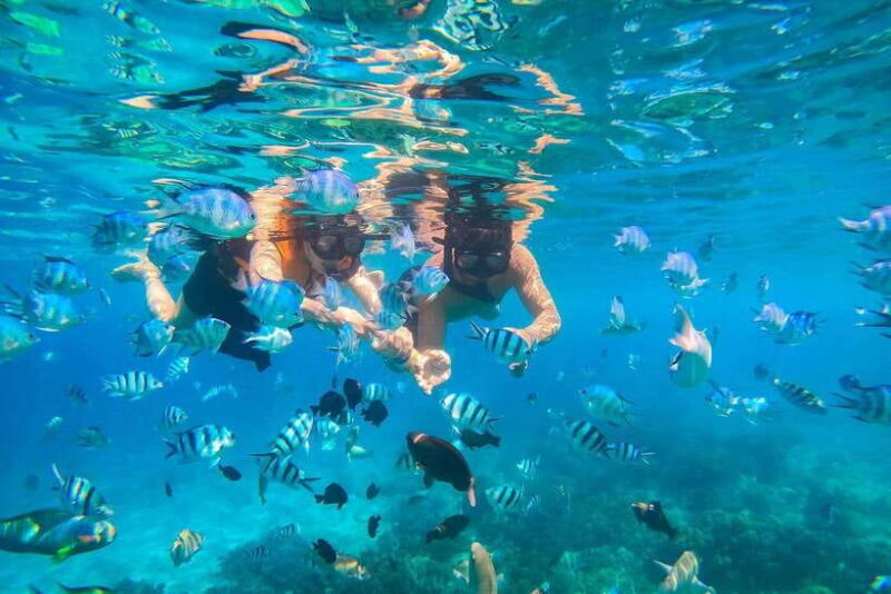 Nha Trang: Hon Mun Island Marine Park Snorkeling & Mud Bath - Authentic Experiences and Review Highlights