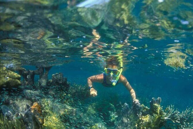 Nha Trang Island Adventure: Snorkeling, BBQ and Relaxing Mud Bath - FAQs