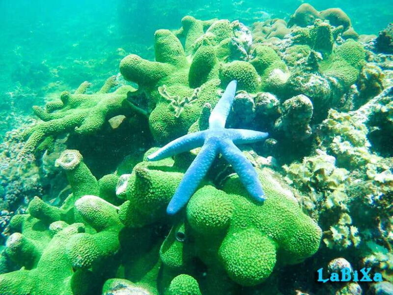 Nha Trang: Island Hopping Boat Tour with Snorkeling & Lunch - Who Might Want to Consider Other Options?