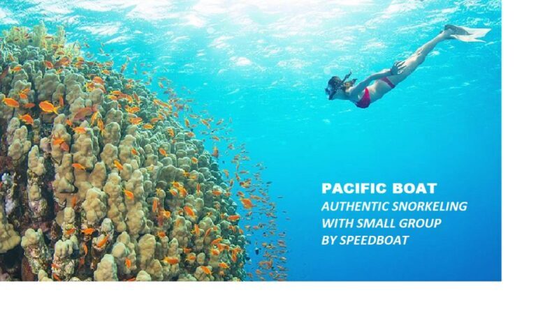 Nha Trang: Island-Hopping & Snorkeling Day Trip by Speedboat - Key Points