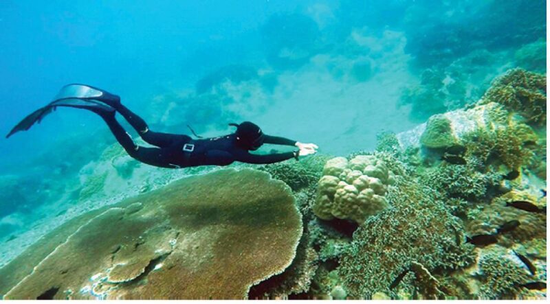 Nha Trang: Island-Hopping & Snorkeling Day Trip by Speedboat - Who Will Enjoy This Tour?