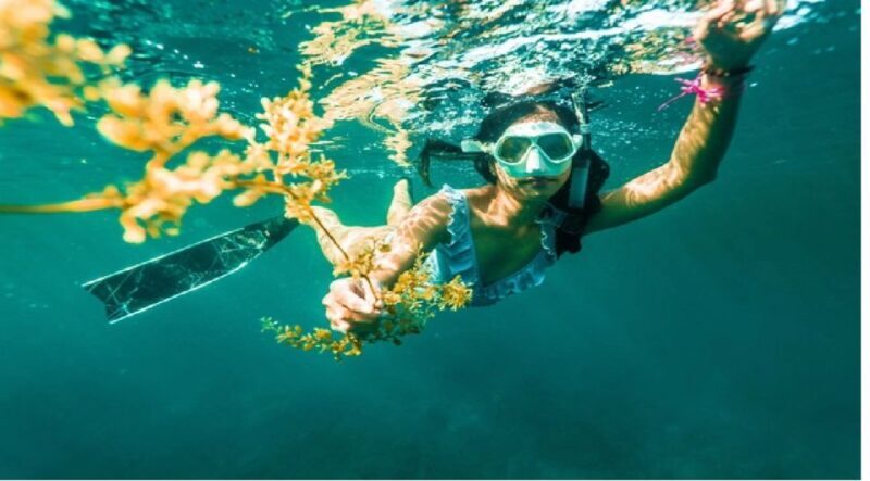 Nha Trang: Island-Hopping & Snorkeling Day Trip by Speedboat - FAQs