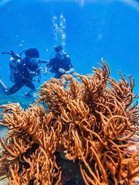 Nha Trang: Morning Bliss Catamaran Yacht Tour - The Sum Up