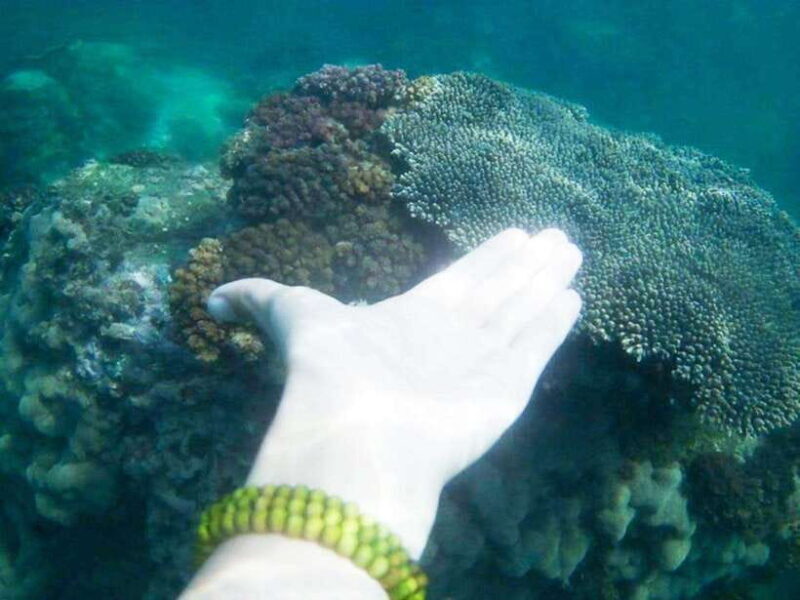 Nha Trang: Mun Island, Con Se Tre Island, and Mini Beach. - Frequently Asked Questions