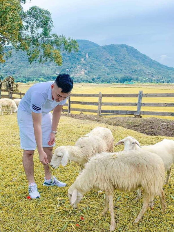 Nha Trang Ninh Thuan: Coral Coast, Grape Gardens, Suoi Tien - Key Points