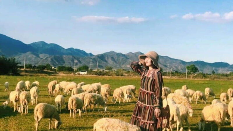 Nha Trang Ninh Thuan: Coral Coast, Grape Gardens, Suoi Tien - A Deep Dive into the Tour Experience