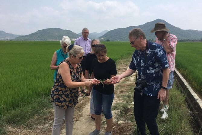 Nha Trang Private Countryside Tour for rural life discovery - A Thorough Look at the Nha Trang Countryside Tour
