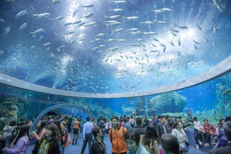 Nha Trang Private Half-Day City Tour - Who Should Consider This Tour?