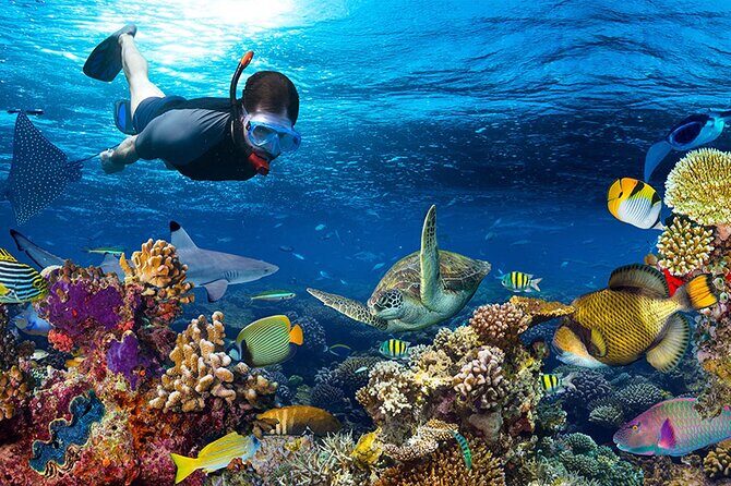 Nha Trang Private Tour To Mini Beach Included Lunch - Considerations for Travelers