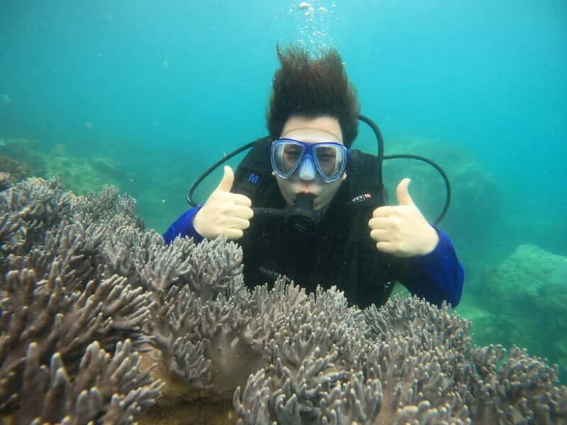 Nha Trang : Scuba diving experience for certified dive - Key Points