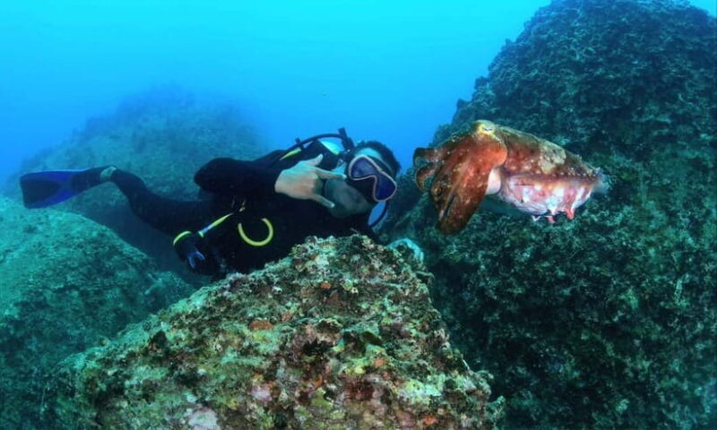 Nha Trang : Scuba diving experience for certified dive - Introduction: An Underwater Adventure Tailored for Certified Divers