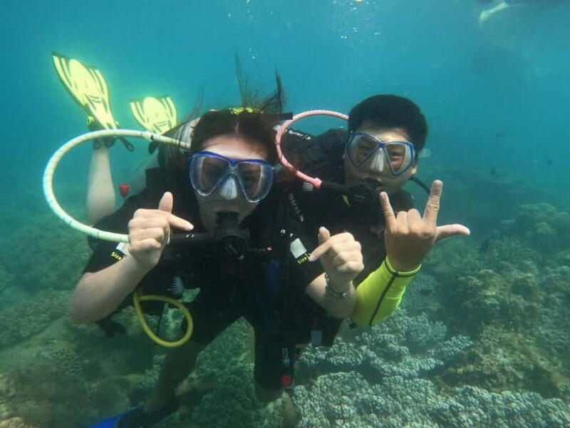 Nha Trang : Scuba diving experience for certified dive - The Sum Up