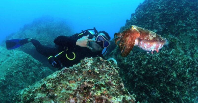 Nha Trang: Scuba Diving Experience for Non-Certified Divers - Return and Drop-Off
