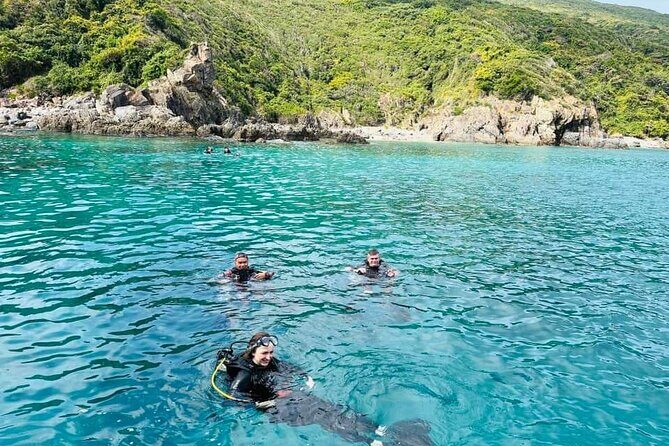 Nha Trang Scuba Diving Tour 2 Dives and Lunch Included - An In-Depth Look at the Nha Trang Scuba Diving Tour