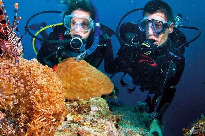 Nha Trang Scuba Diving Tour: 2 Dives for Beginners at Marine Park - Final Thoughts