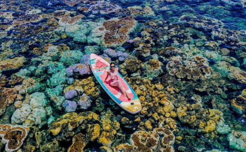 Nha Trang Scuba Diving Tour With Coral Reef & Luxury Lunch - Who Is This Tour Best For?