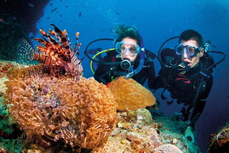 Nha Trang: Scuba Diving Tour with Lunch and Drinks - Final Thoughts: Who Should Consider This Tour?