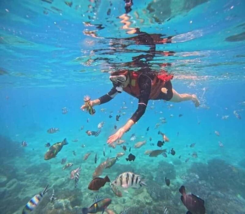 Nha Trang: Snorkeling at Marine Park and Enjoying Lunch - Key Points